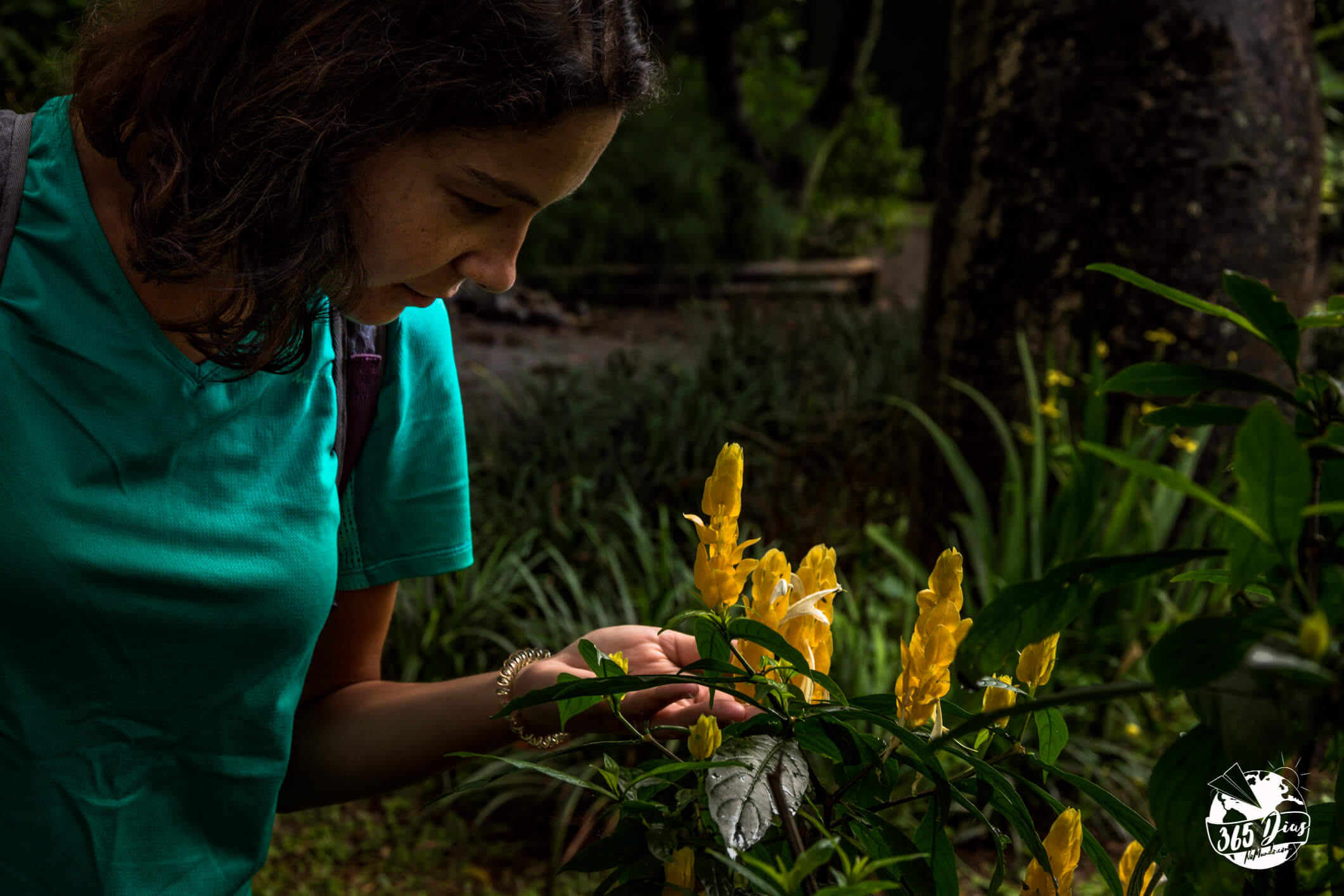 MEDELLIN, A ETERNA PRIMAVERA (COLÔMBIA)